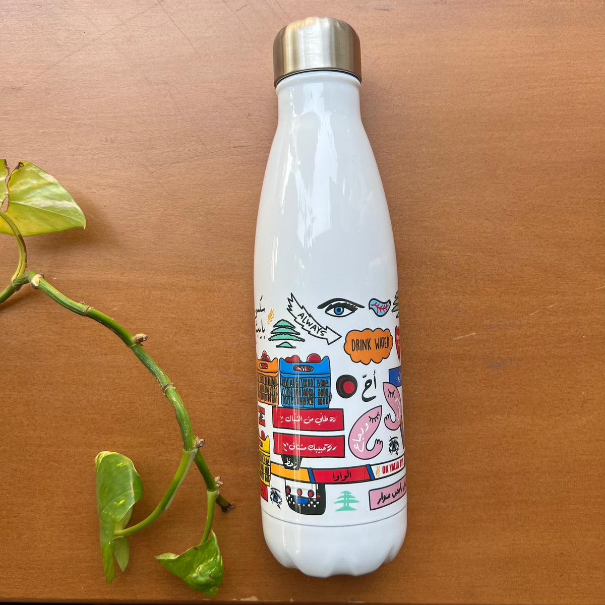 Camion Meli Melo bottle gourde زجاجة ماء قارورة bouteille thermos – Luanatic