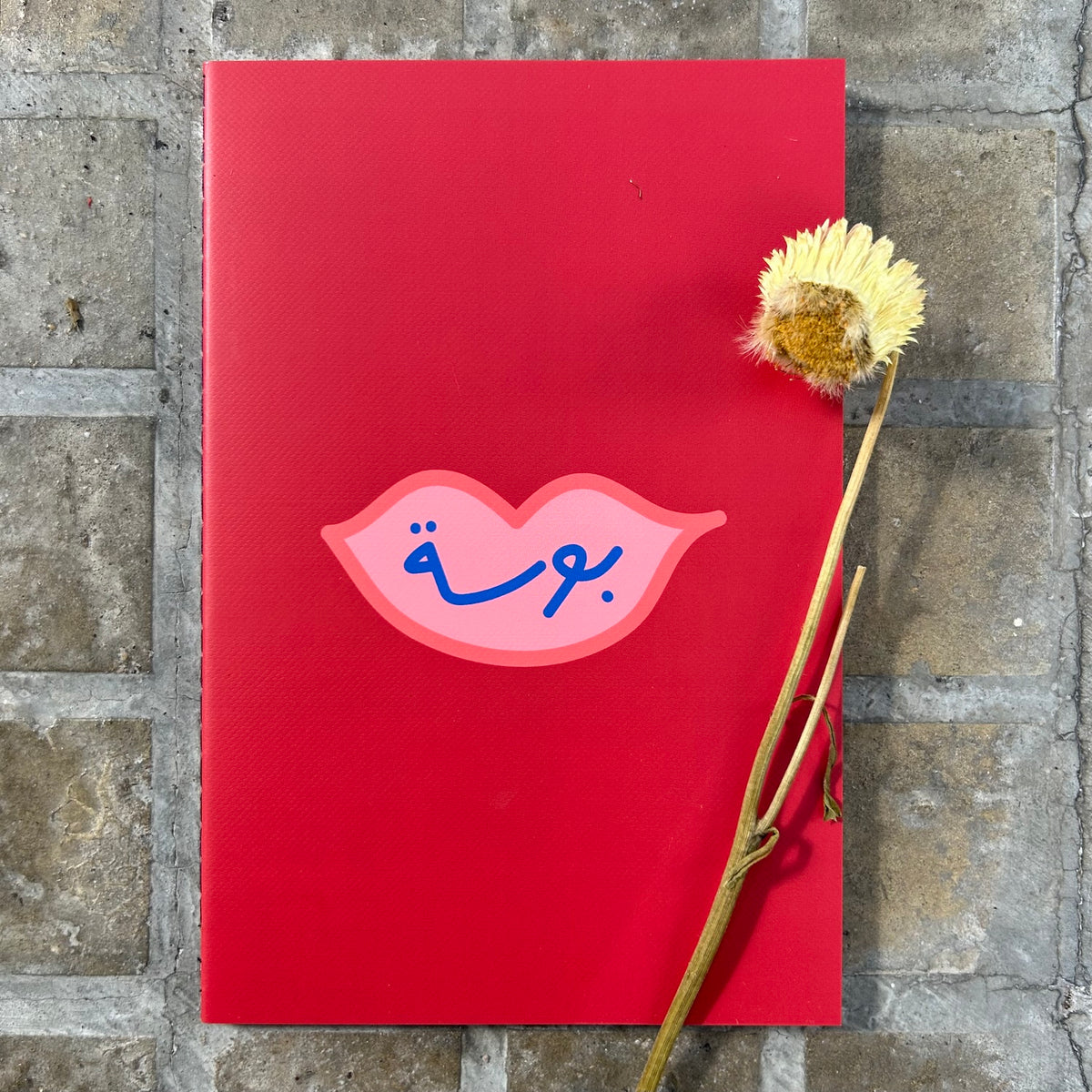 Notebook Baoussé (بوسة) by Luanatic دفتر cahier